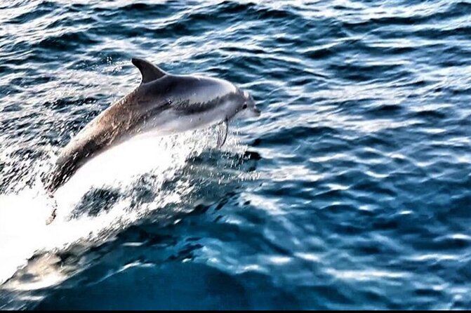 Blue Lagoon, Shipwreck & Maslinica from Split with LUNCH & DRINKS - The Value of an All-Inclusive Day