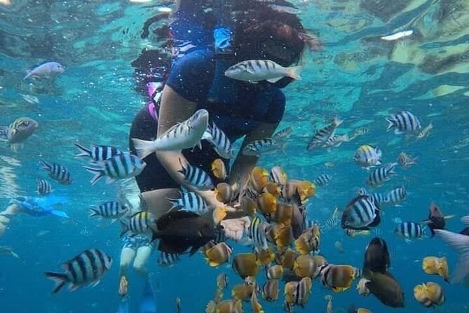 Blue Lagoon Snorkeling and Lunch - Kanto Lampo - Suwat Waterfall - All inclusive - FAQ