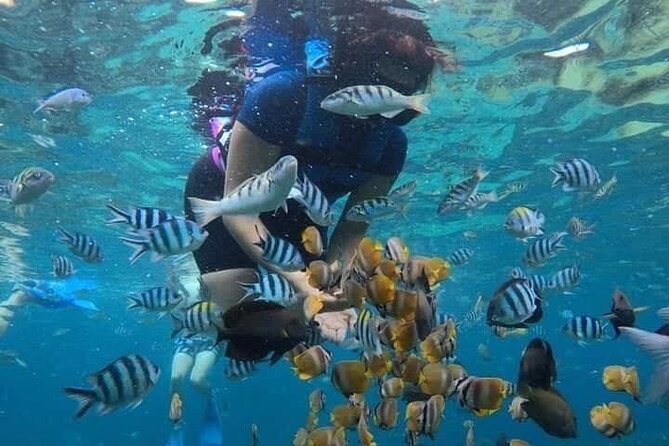 Blue Lagoon Snorkeling and Lunch - Ubud Monkey Forest - Waterfall - Introduction: A Well-Rounded Day in Bali