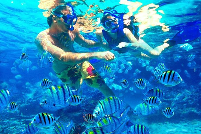 Blue Lagoon Snorkeling and Lunch - Ubud Monkey Forest - Waterfall - Frequently Asked Questions