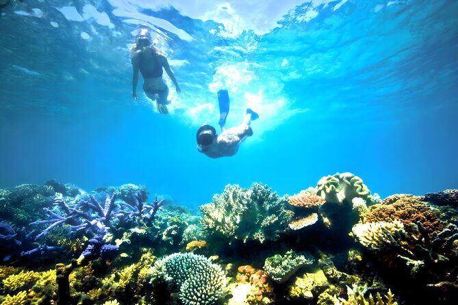 Blue Lagoon Snorkeling and Ubud Waterfall Tour - Key Points