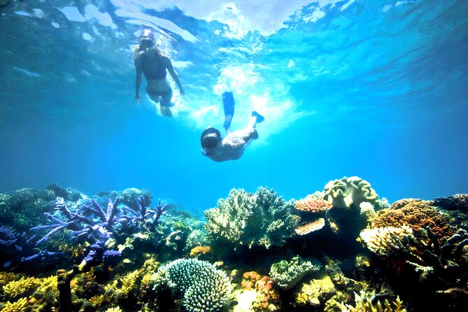 Blue Lagoon Snorkeling - Bali Best Snorkeling Site - Who Should Consider This Tour?