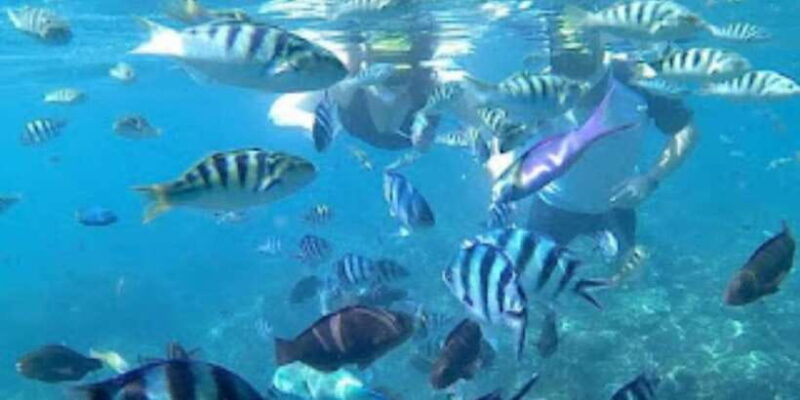 Blue Lagoon Snorkeling & Candidasa Hidden Activities - The Highlights & Unique Features