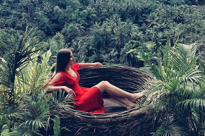 Blue Lagoon Snorkeling - Jungle Swing - Ubud - All Inclusive - Transport, Logistics, and Value