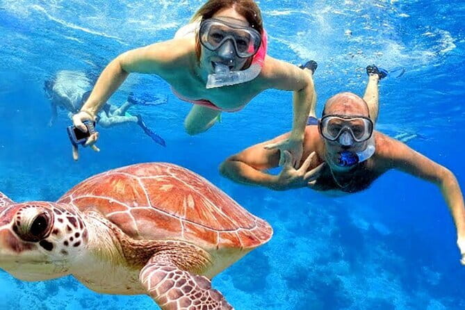 Blue Lagoon Snorkeling with Lunch and Private Transport - The Itinerary: What You Can Expect