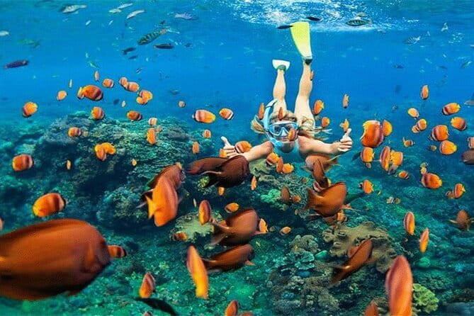 Blue Lagoon Snorkeling with Lunch and Private Transport - Who Should Consider This Tour?