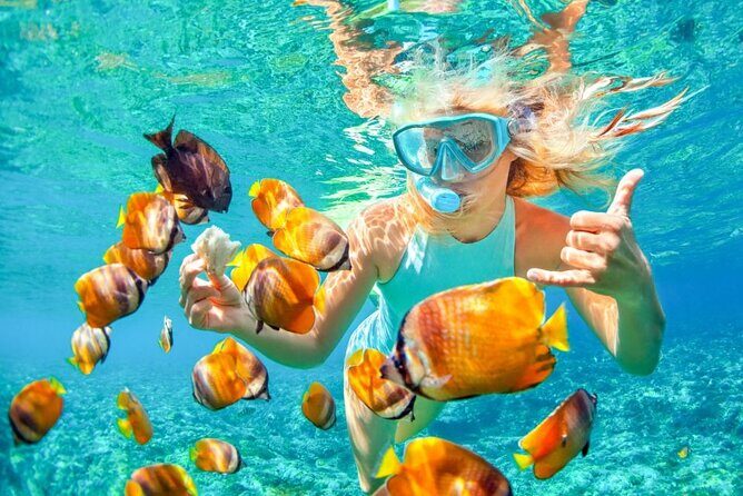 Blue Lagoon Snorkling activities - Is This Tour Right for You?