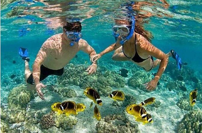 Blue Lagoon Snorkling activities - Final Thoughts