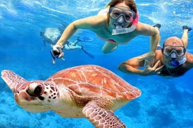 Blue Lagoon Snorkling activities - FAQs