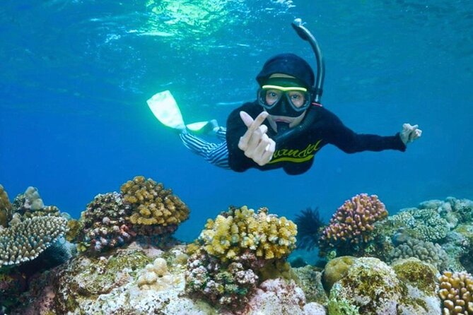 Blue Lagoon & Tanjung Jepun Snorkeling Private Tour - Authenticity and Real Traveler Feedback