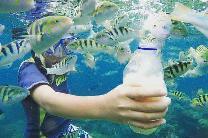 Blue Lagoon & Tanjung Jepun Snorkeling Private Tour - Suitability and Who Will Love This Tour