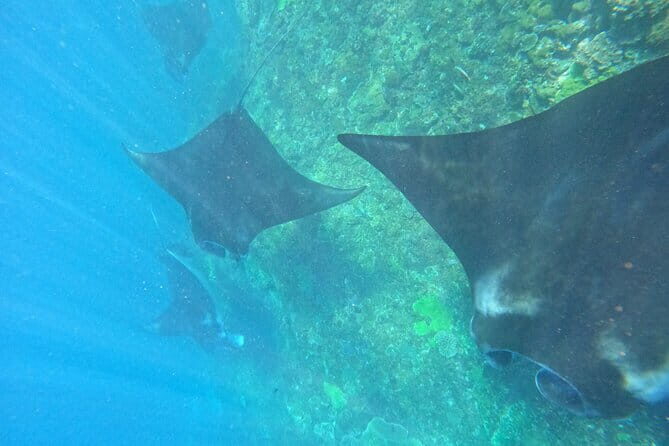 Blue Lagoon & Tanjung Jepun snorkeling with Kanto Lampo WaterFall and Monkey bar - Frequently Asked Questions