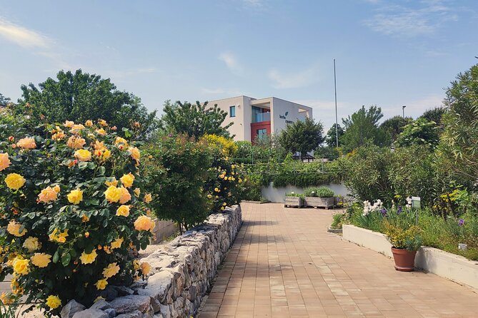 Blue line Tour with Salona - Final Thoughts