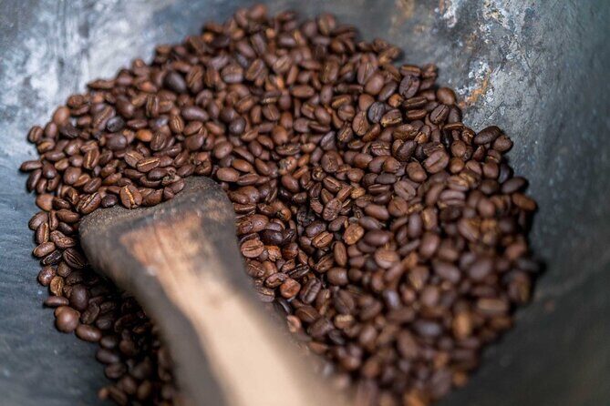 Blue Mountain Bicycle Tour Experience - Why the Price Matters