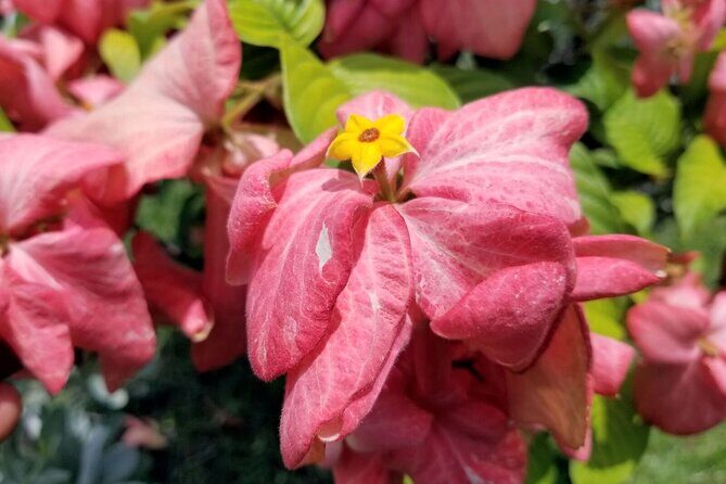 Blue Mountain Bicycle Tour Experience - Who Should Consider This Tour?