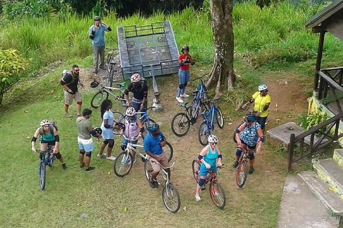 Blue Mountain Bicycle Tour from Montego Bay - What to Expect from the Tour