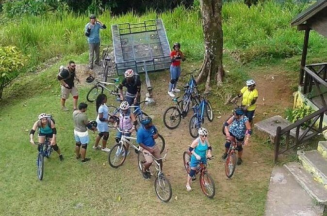 Blue Mountain Bicycle Tour from Montego Bay - What the Reviews Reveal