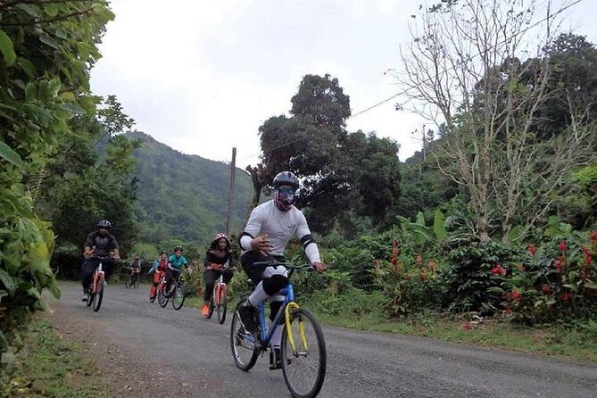 Blue Mountain Bicycle Tour from Ocho Rios - Exploring the Itinerary: What to Expect