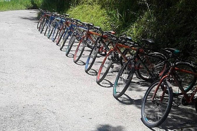 Blue Mountain Bicycle Tour from Ocho Rios - The Sum Up