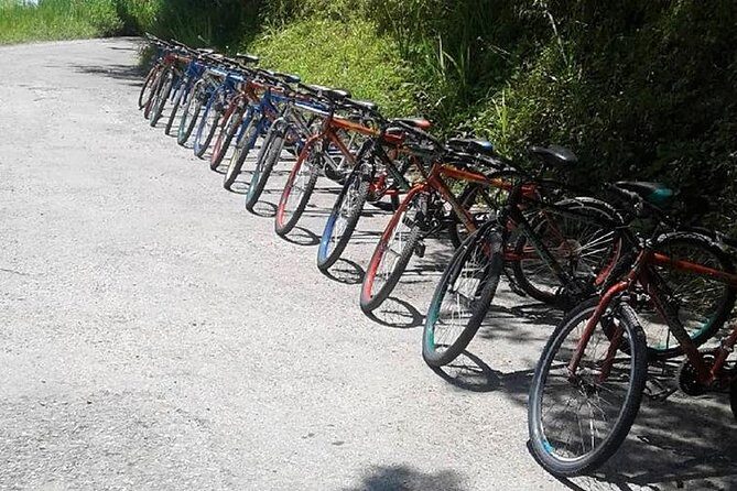 Blue Mountain Bicycle Tour from Ocho Rios - FAQ
