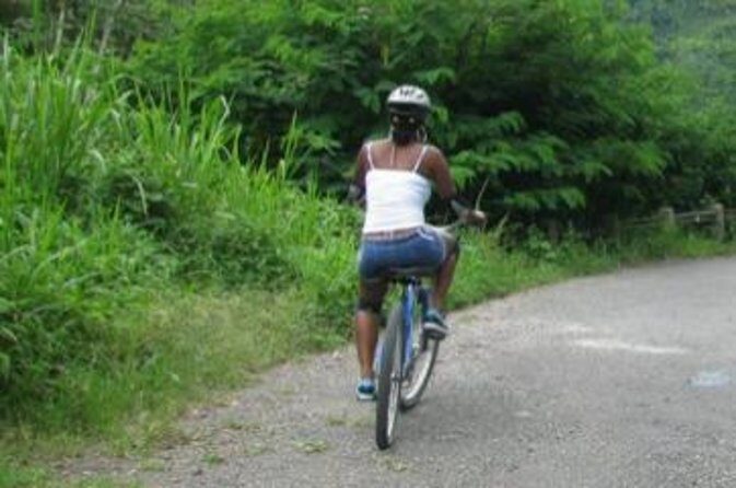Blue Mountain Bicycle Tour from Runaway Bay - A Closer Look at the Itinerary