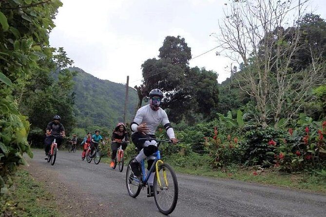 Blue Mountain Bicycle Tour from Runaway Bay - Authentic Experiences and Authenticity