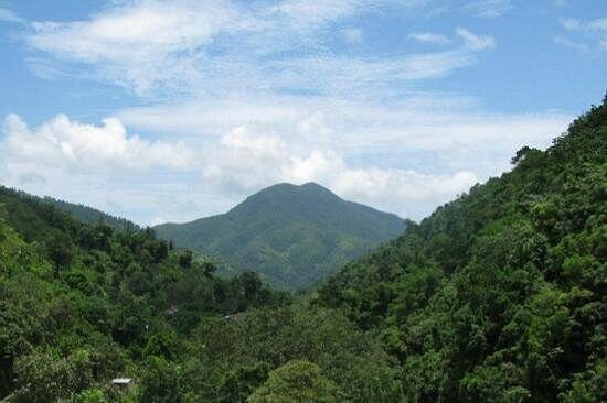 Blue Mountain Bicycle Tour from Runaway Bay - FAQs