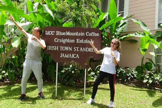 Blue Mountain Coffee and Sightseeing Tour - The Sum Up