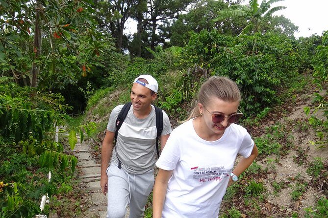 Blue Mountain Coffee and Sightseeing Tour - FAQ