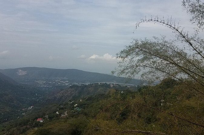 Blue Mountain Coffee Tour from Ocho Rios - Analyzing the Value: Is It Worth It?