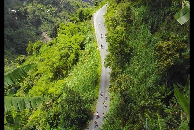 Blue Mountain Coffee Tour from Ocho Rios - FAQ