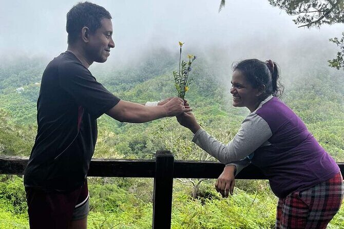 Blue Mountain Highlights Experience - Who Will Love This Tour?