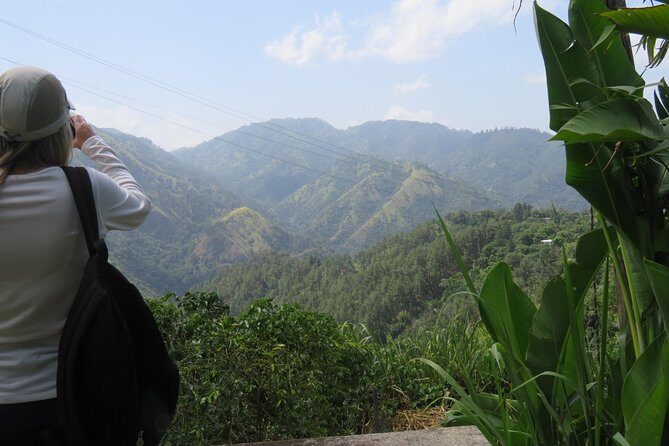 Blue Mountain Path Finder - Authenticity and Travelers’ Feedback