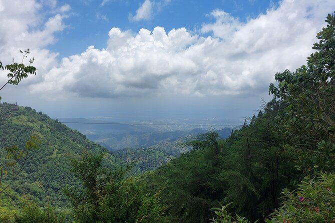Blue Mountain Sight-Seeing & Nature Trail Hike with Private Guide - FAQ