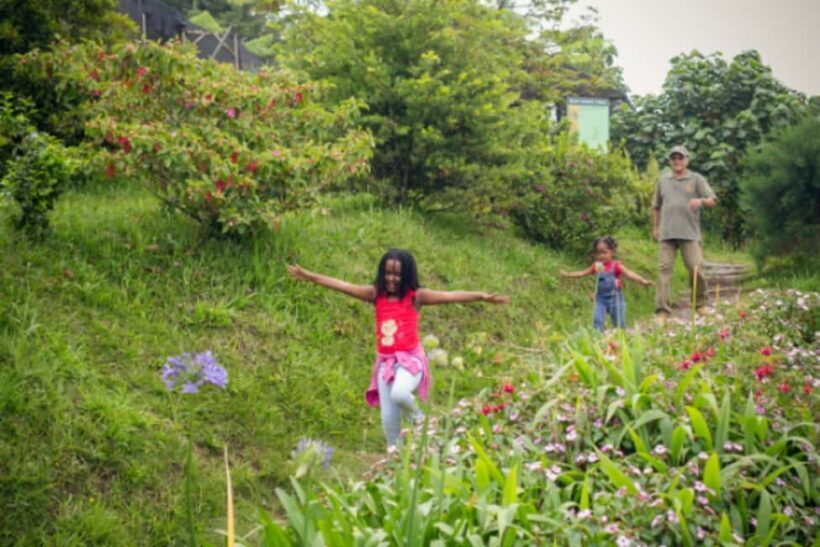 Blue Mountain Tour: A Half-Day Escape from Kingston - Discovering Newcastle JDF Camp: A Glimpse of Jamaica’s Military History