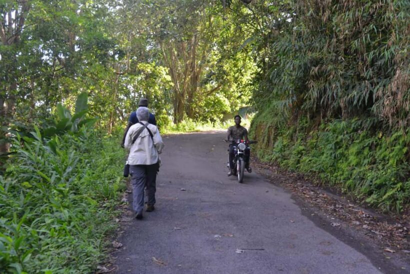 Blue Mountain Tour: A Half-Day Escape from Kingston - Returning to Kingston: A Relaxed Journey Back