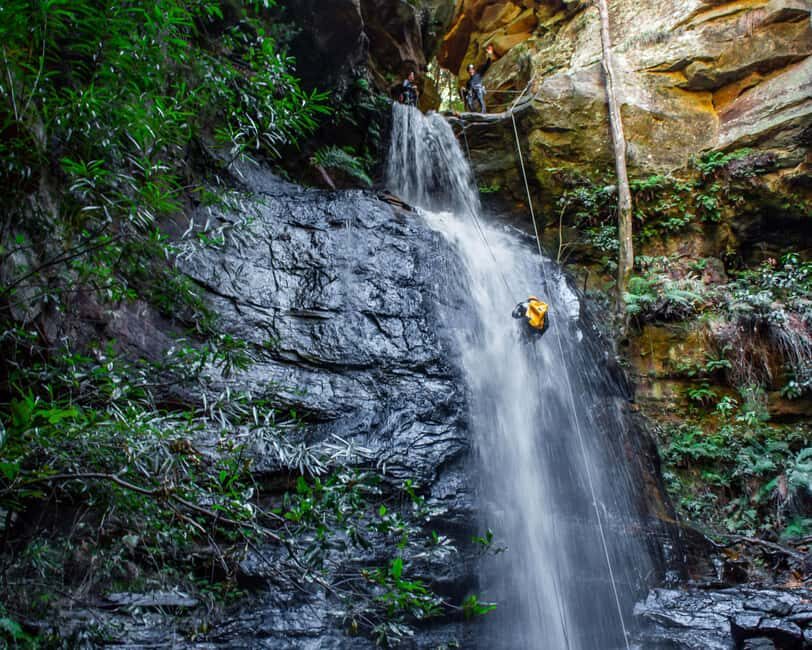 Blue Mountains: Abseiling and Canyoning Experience - Practical Tips for the Trip
