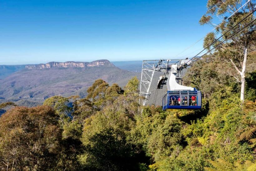 Blue Mountains Adventure: Scenic World, Zoo & Koala Photo - Key Points