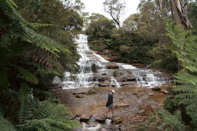 Blue Mountains Adventure: Scenic World, Zoo & Koala Photo - FAQ