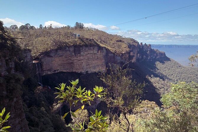 Blue Mountains and Australian Native Animals - Authentic Experiences and Traveler Feedback