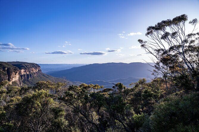 Blue Mountains and Australian Native Animals - FAQ