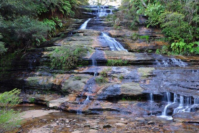 Blue Mountains: Cable Cars, Wildlife & Three Sisters Private Tour - Final Thoughts: Who Is This Tour Best For?