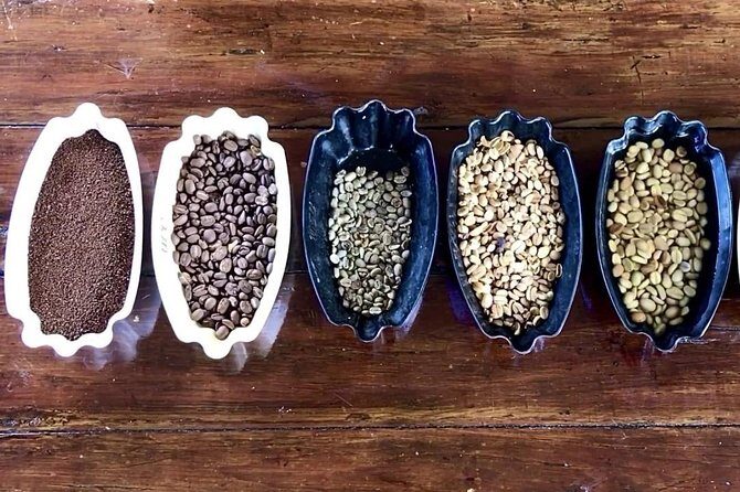 Blue Mountains Coffee Private Tour from Kingston - Top-Quality Coffee and Scenic Views in Jamaica: A Review of the Blue Mountains Coffee Private Tour from Kingston