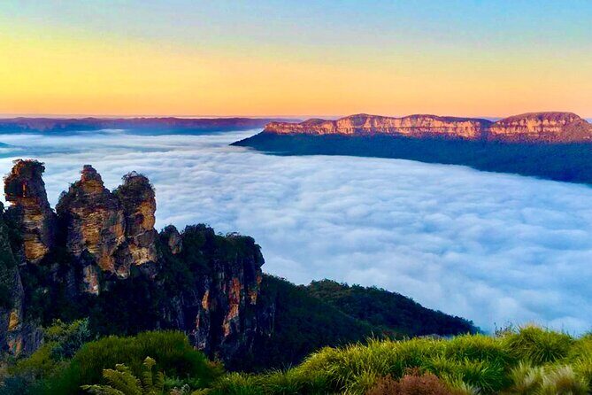Blue Mountains Day, Sunset Tour & Glow Worms Night Adventure - Analyzing the Journey: What to Expect