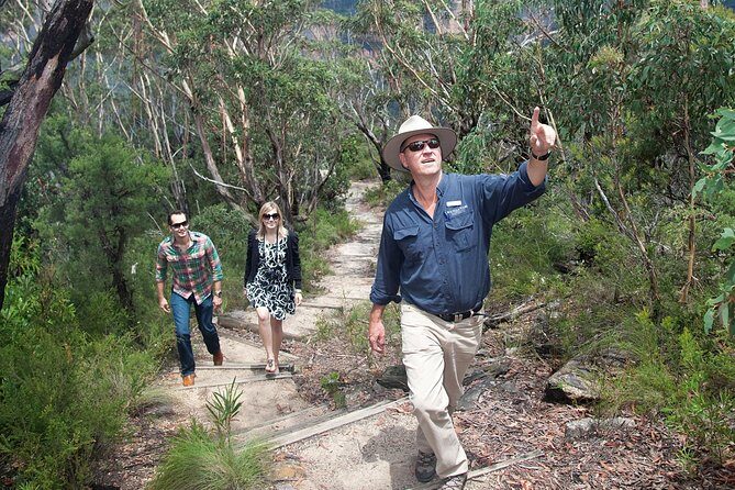 Blue Mountains Day Tour With Bushwalks, Waterfalls & Featherdale - The Experience: What You Can Expect from a Full Day in the Blue Mountains