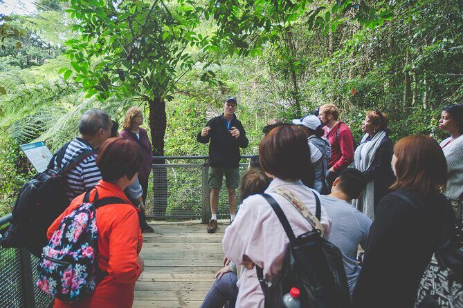 Blue Mountains Day Tour with Wildlife, Walks and Scenic World - Valuing Your Experience