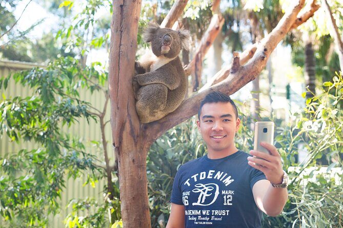 Blue Mountains Day Tour with Wildlife, Walks and Scenic World - Frequently Asked Questions