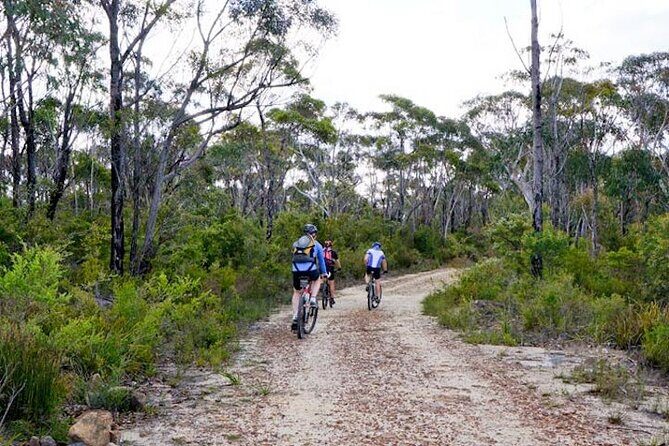 Blue Mountains Electric Bike Tour with Transport - A Deep Dive into the Blue Mountains Electric Bike Tour