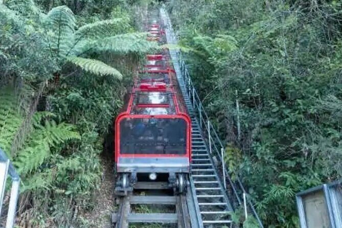 Blue Mountains Exclusive Private Tour - The Experience and Its Value