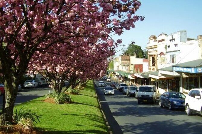 Blue Mountains Exclusive Private Tour - Who Would Enjoy This Tour?